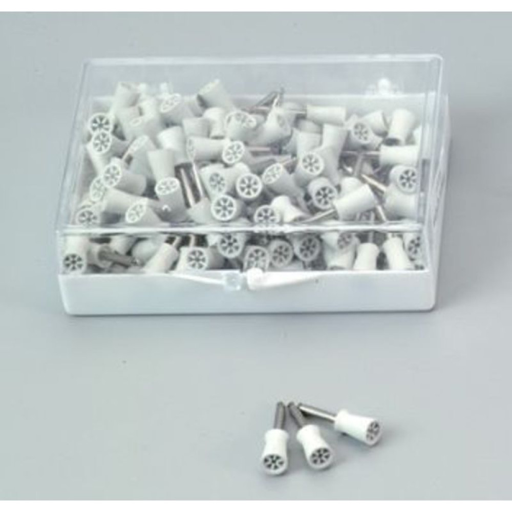 Disposable Prophy Cups 144pcs